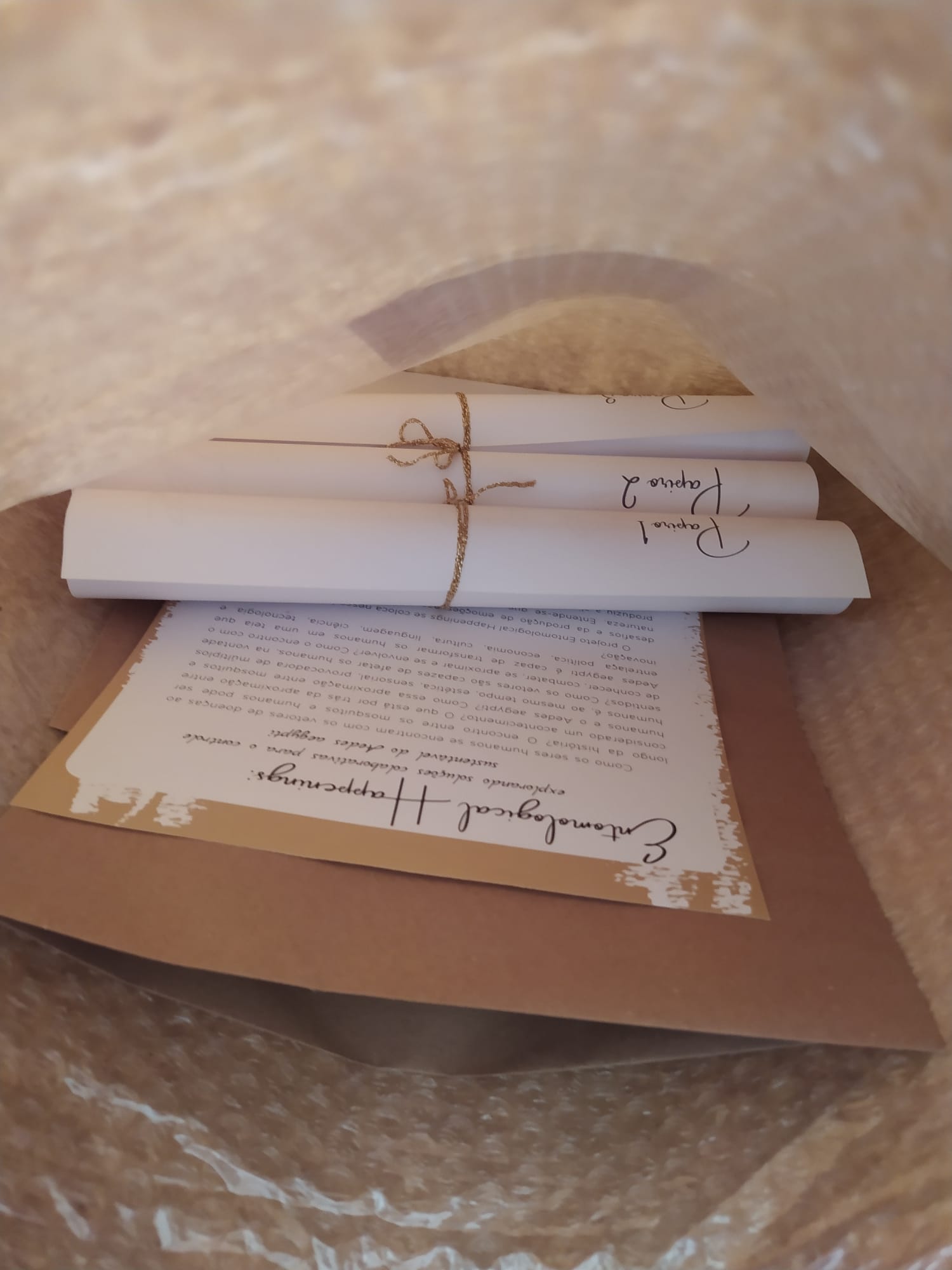 Atividades de 2021 – Programa SoFiA