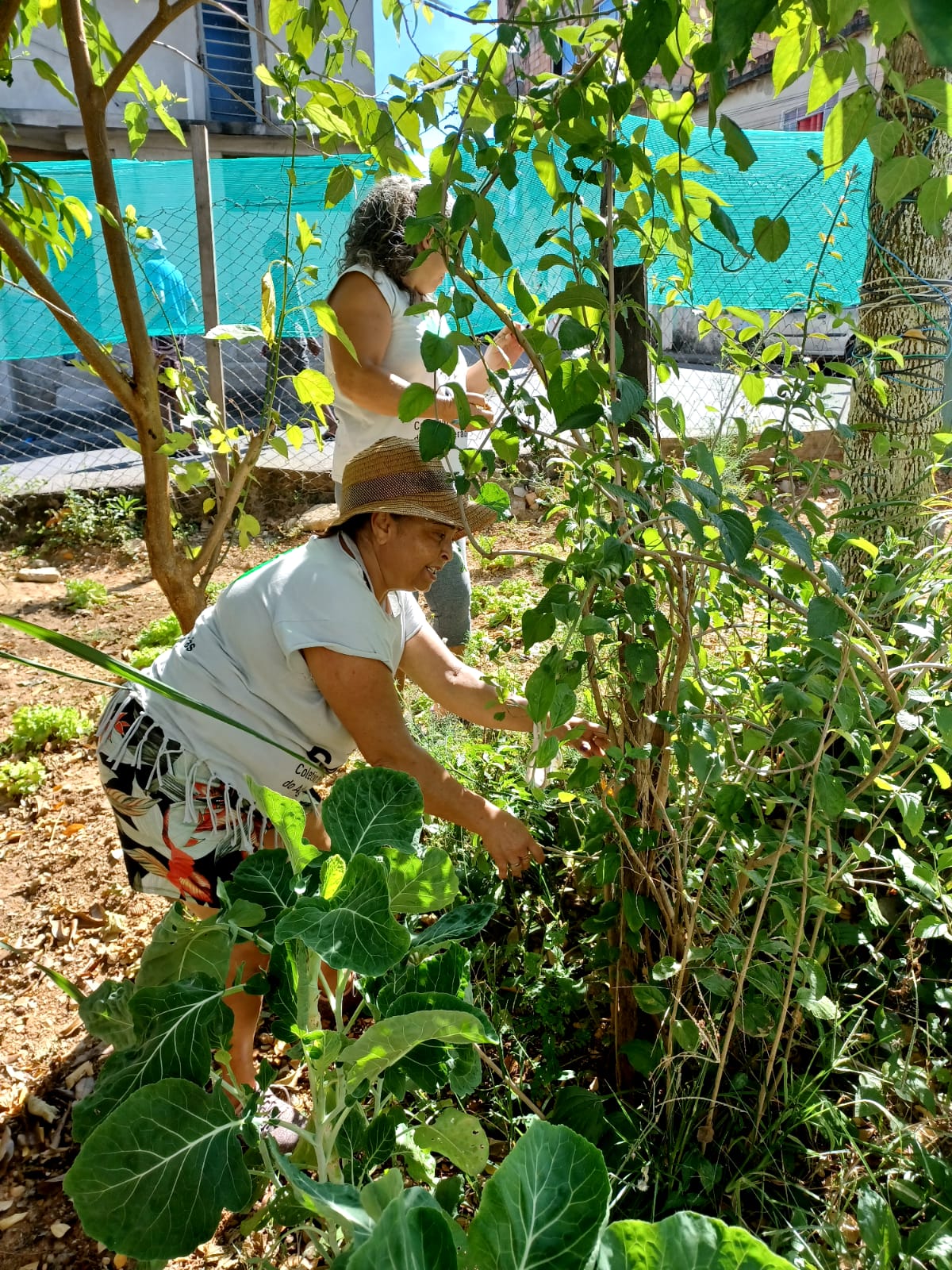 Atividades de 2022 – Programa SoFiA