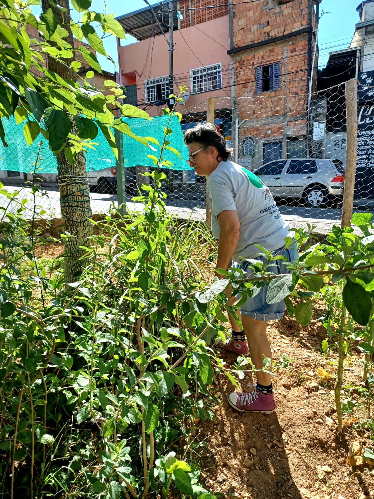 Atividades de 2022 – Programa SoFiA