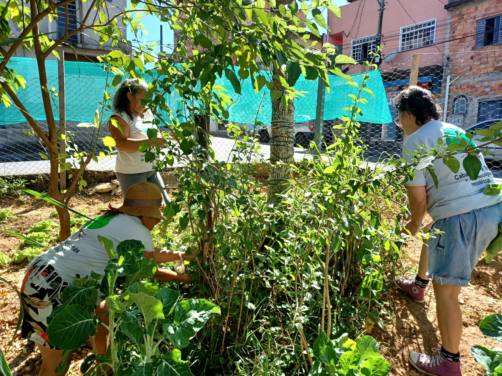 Atividades de 2022 – Programa SoFiA